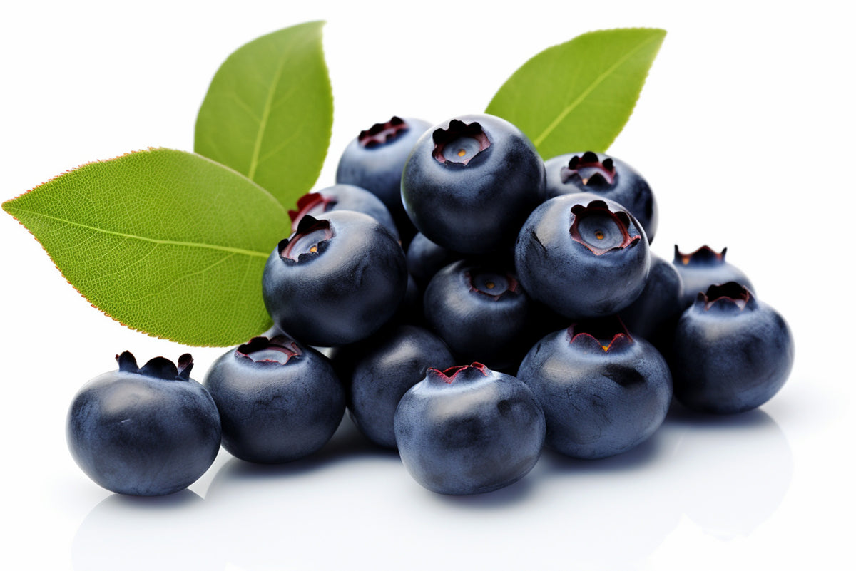 Bilberry Powder and Skin Health – Vitamins and Supplements Online ...
