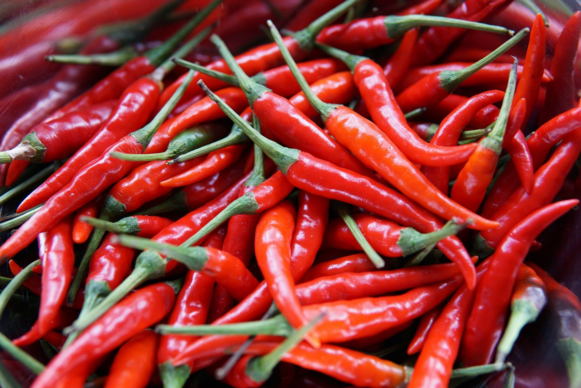 Cayenne Fruit: What is it and its benefits – Vitamins and Supplements ...