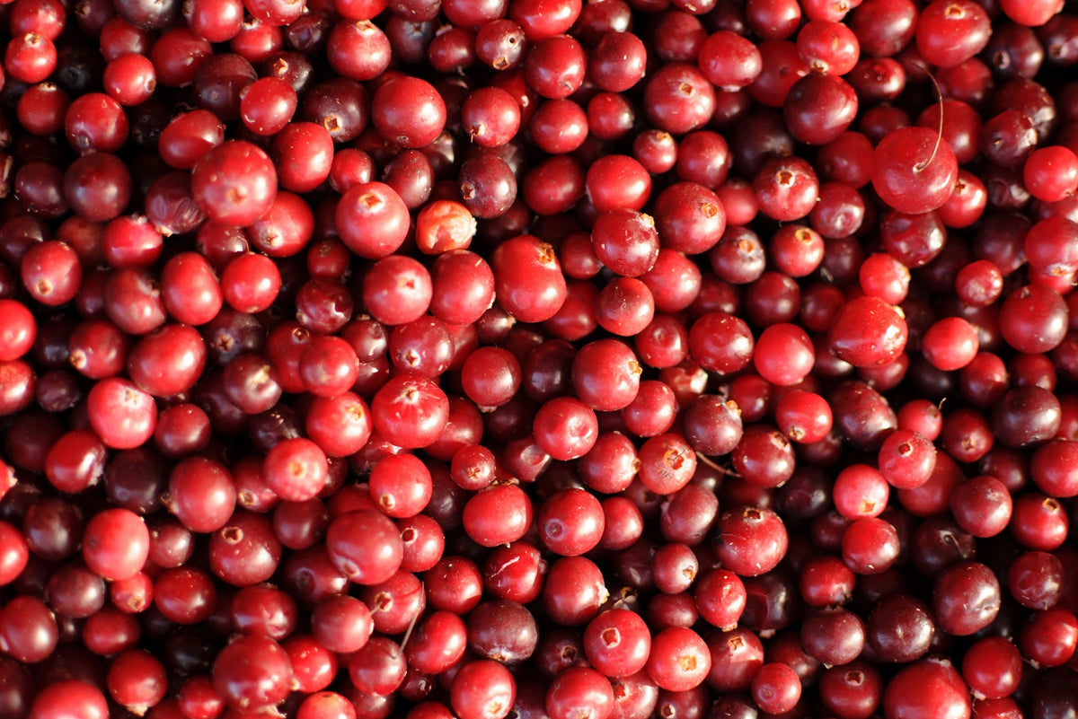 Does it work? Cranberry for Brain Health – Vitamins and Supplements ...