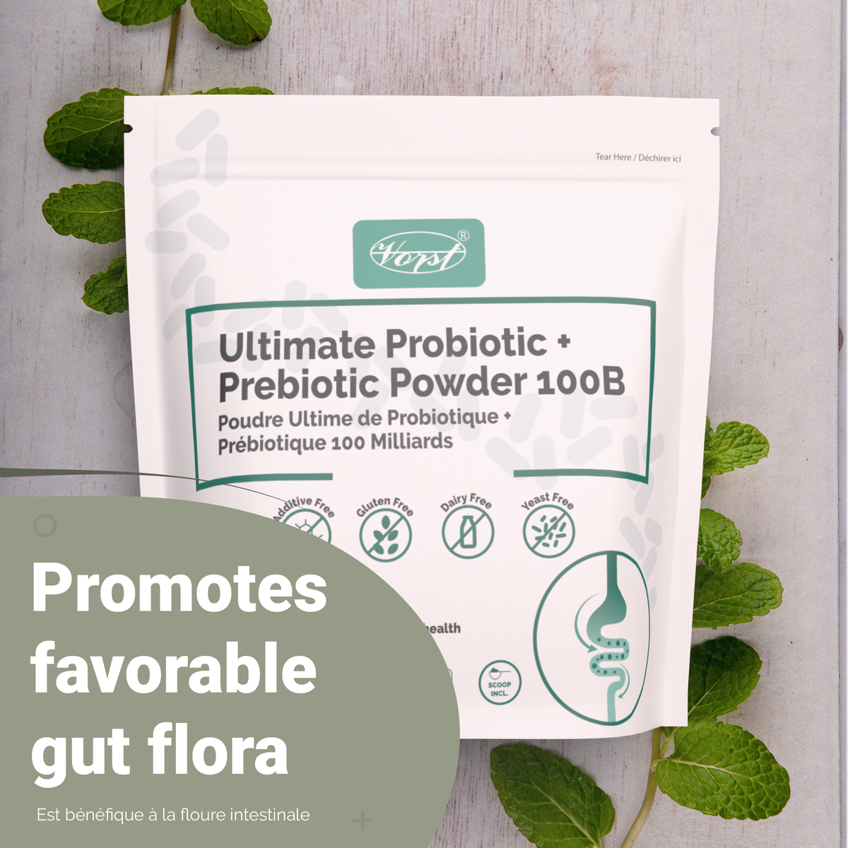 Probiotic + Prebiotic Powder 100 Billion 600g – Vitamins and ...
